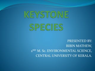 Keystone species | PPTX