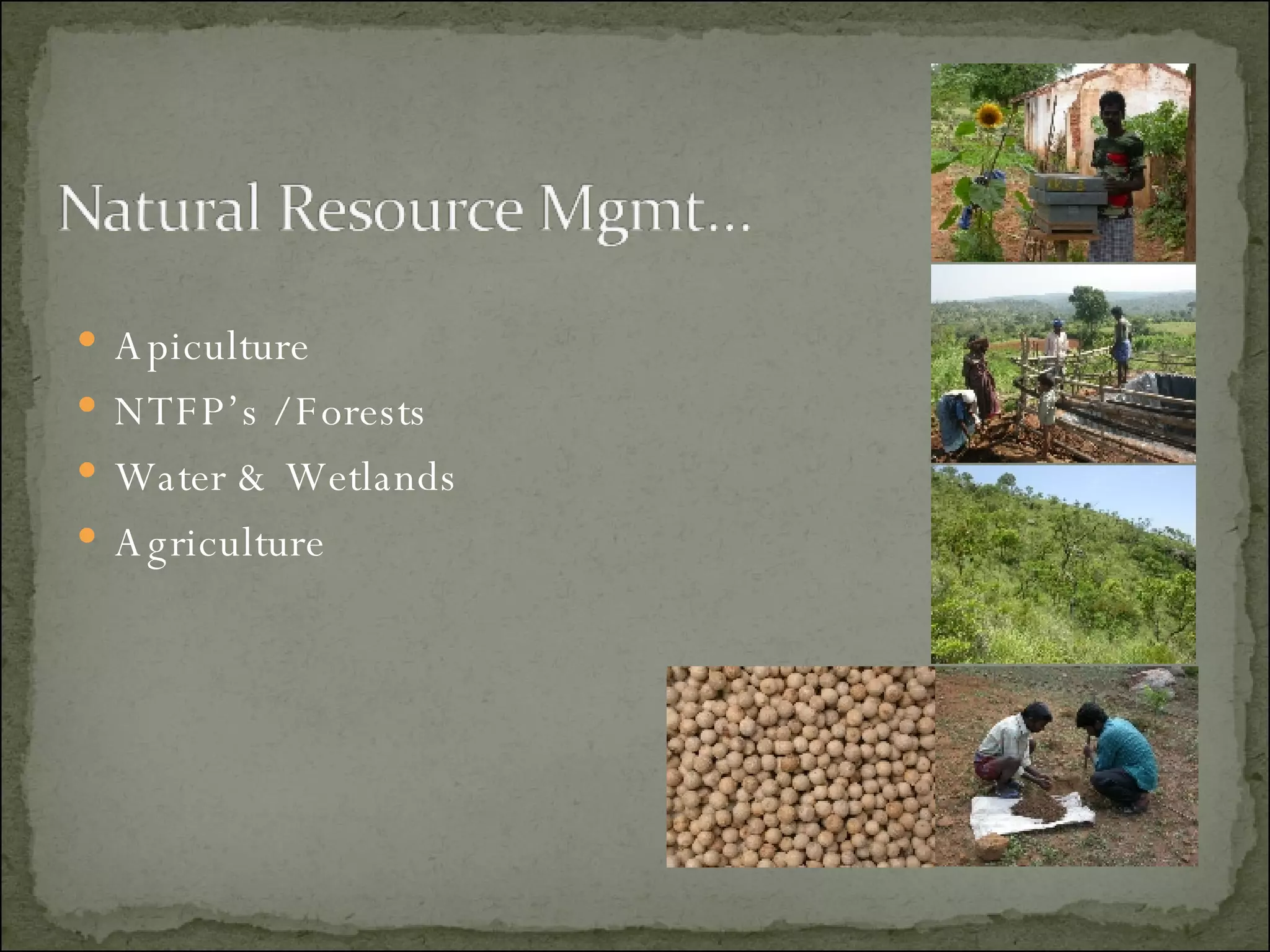 Keystone Foundation | PPT