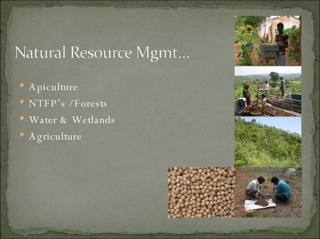 Keystone Foundation | PPT