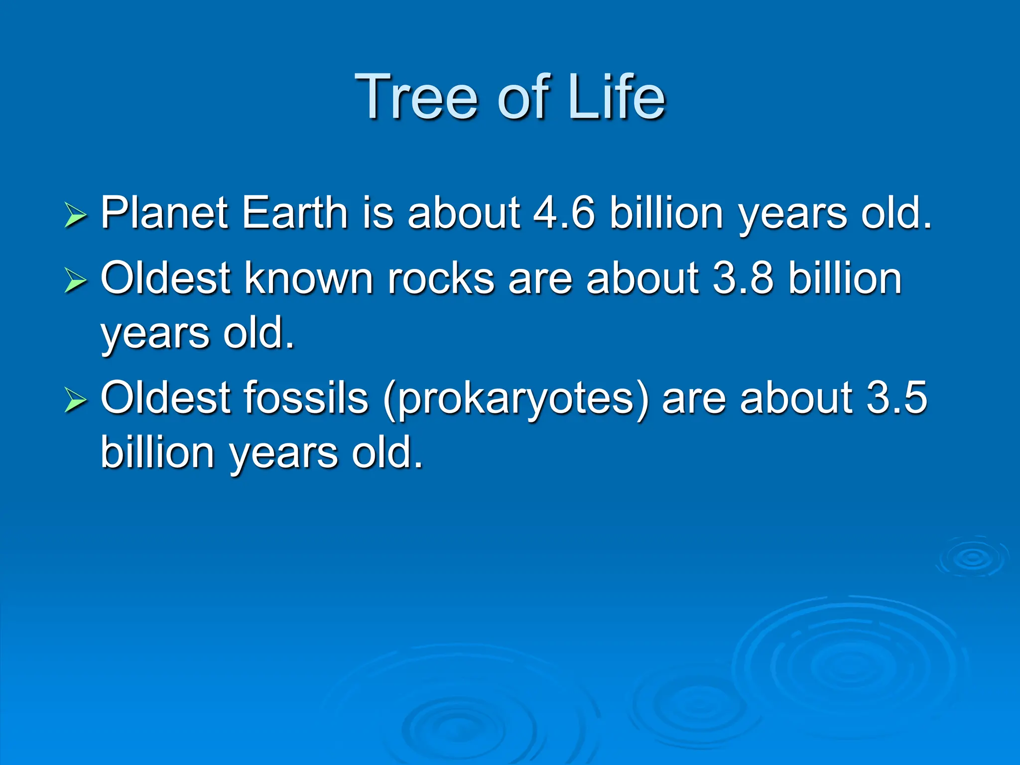 Keystone_Biology_Review_Tree_of_Life.ppt