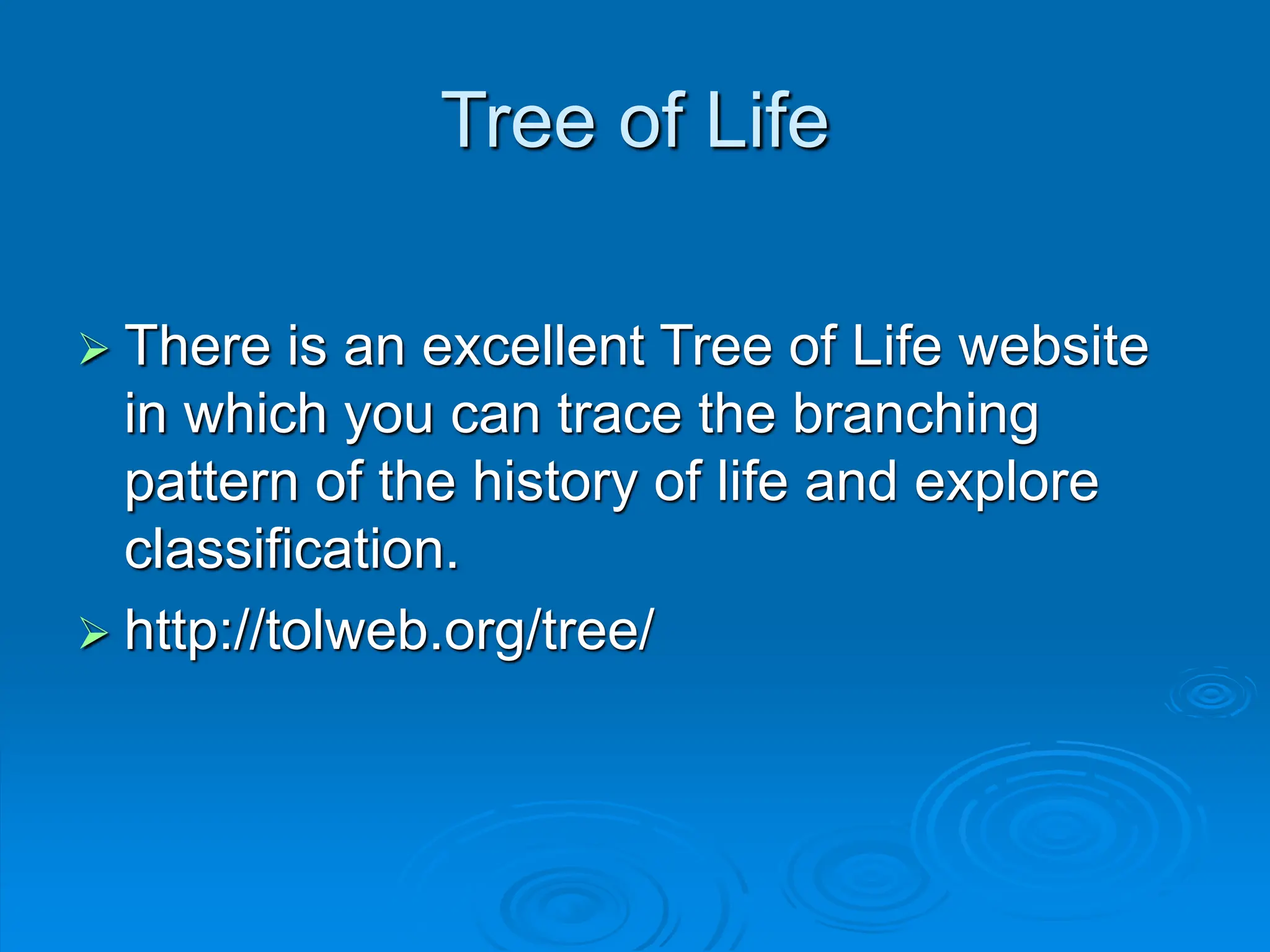 Keystone_Biology_Review_Tree_of_Life.ppt