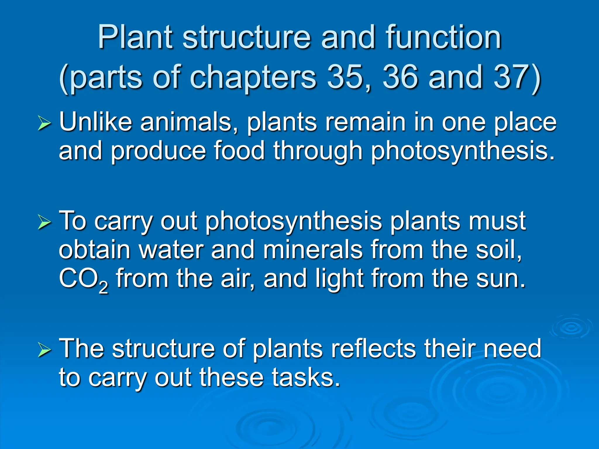 Keystone_Biology_Review_Tree_of_Life.ppt