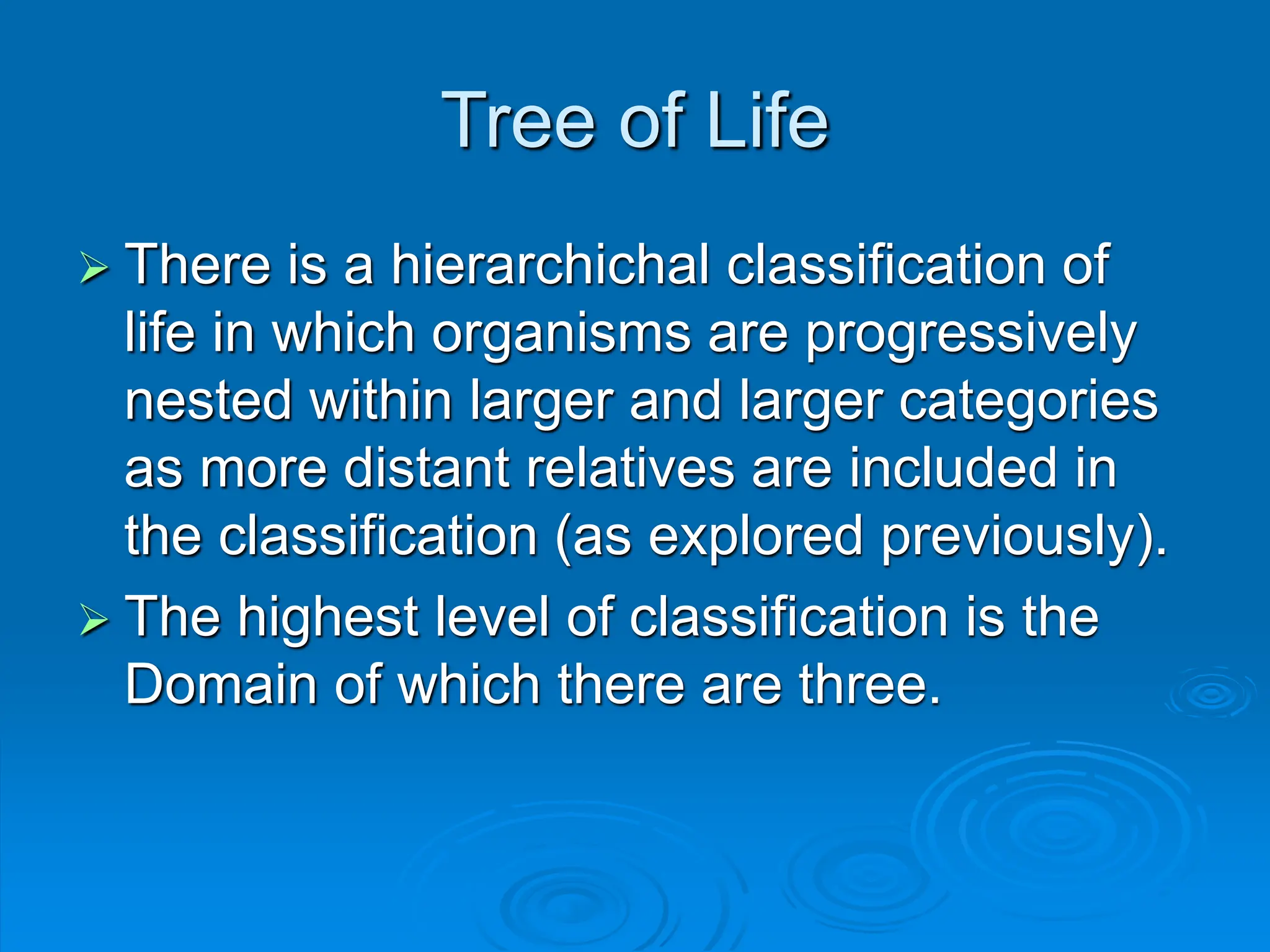 Keystone_Biology_Review_Tree_of_Life.ppt