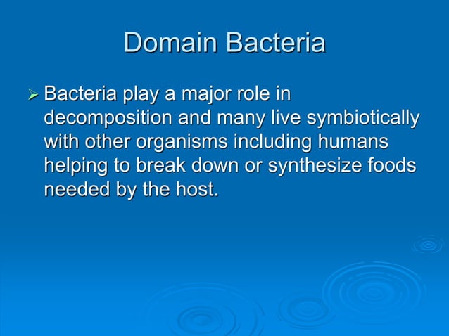 Keystone_Biology_Review_Tree_of_Life.ppt