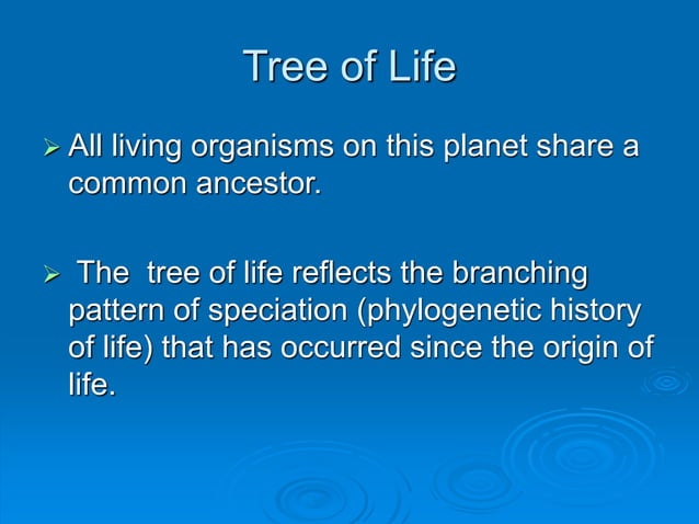 Keystone_Biology_Review_Tree_of_Life.ppt