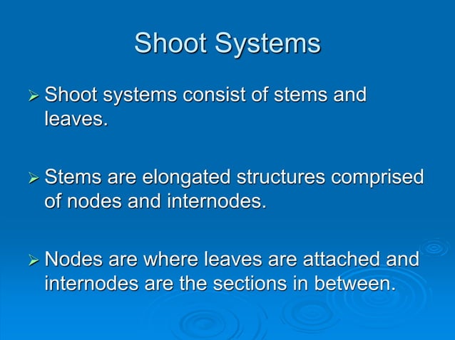 Keystone_Biology_Review_Tree_of_Life.ppt