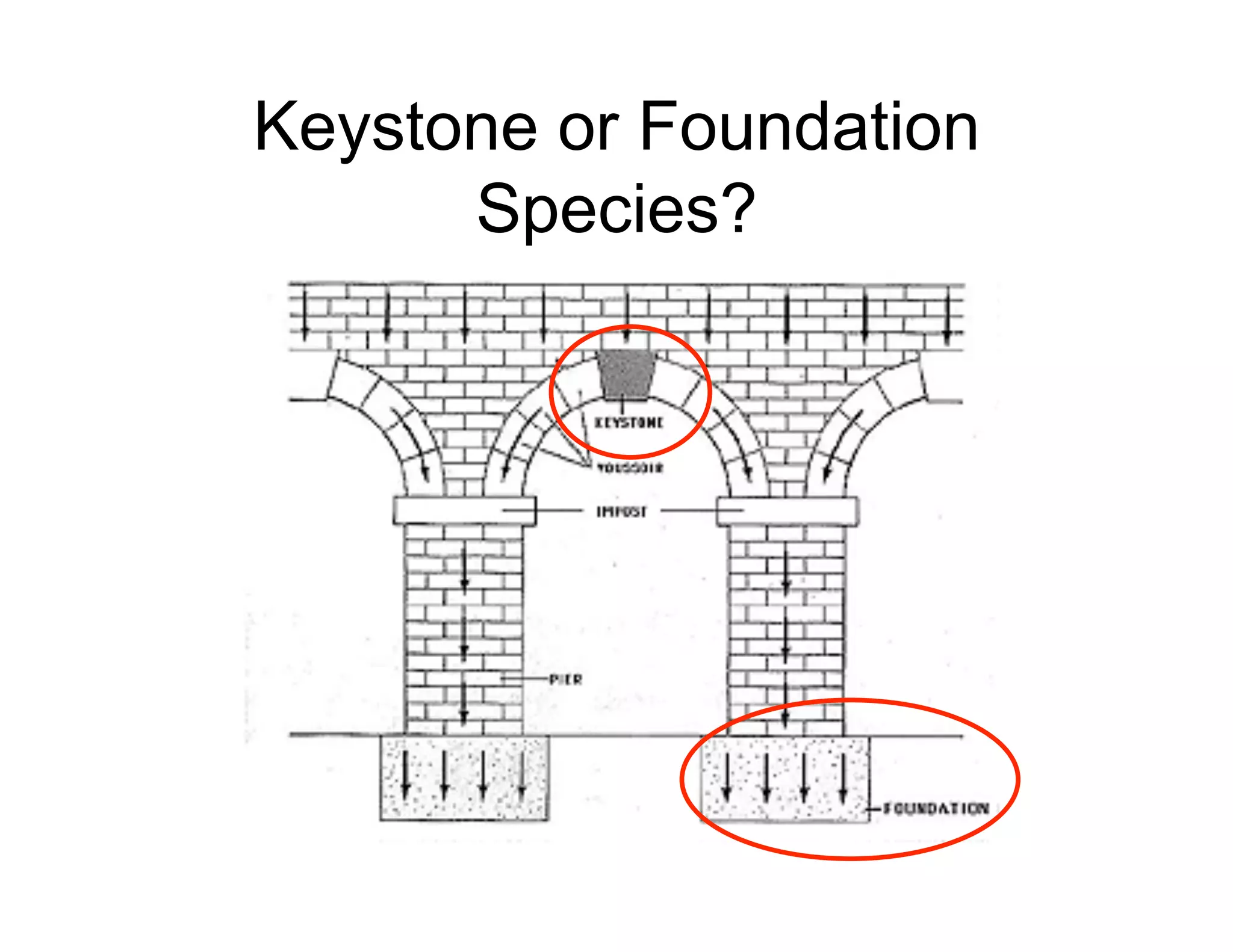 Keystone and Foundation Species | PDF