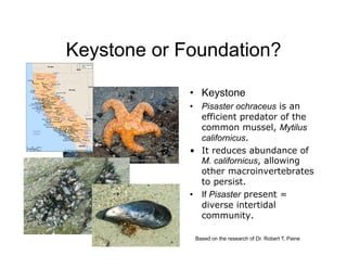 Keystone and Foundation Species | PDF