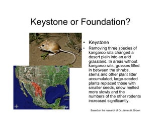 Keystone and Foundation Species | PDF