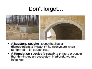 Keystone and Foundation Species 2011 | PPT