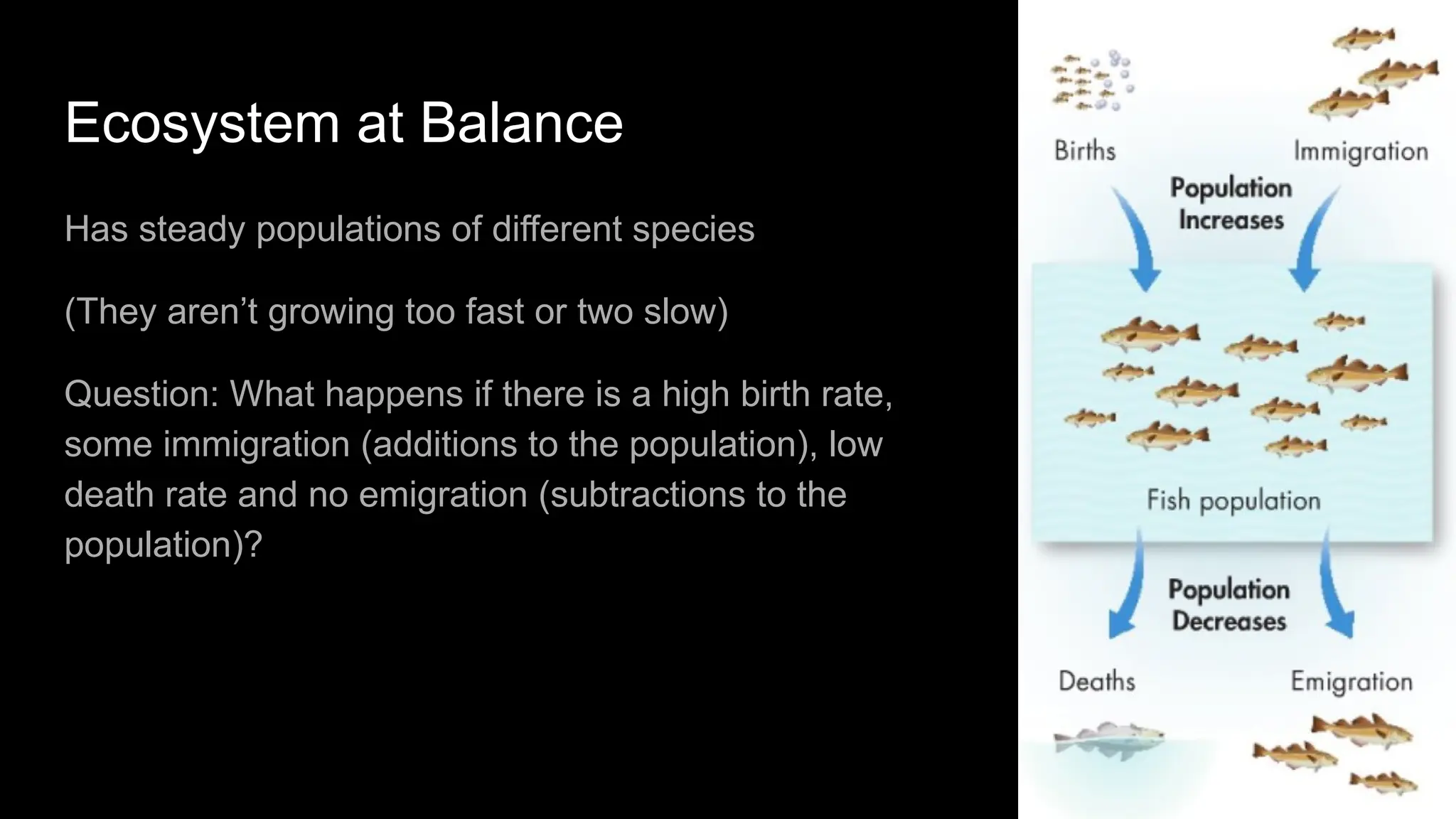 Keystone_Invasive Species For Stable and Unstable Ecosystems | PPT