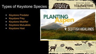Keystone_Invasive Species For Stable and Unstable Ecosystems | PPT
