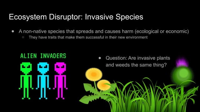 Keystone_Invasive Species For Stable and Unstable Ecosystems | PPT