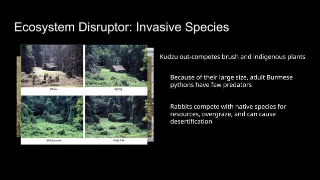 Keystone_Invasive Species For Stable and Unstable Ecosystems | PPT