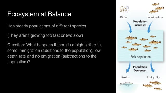 Keystone_Invasive Species For Stable and Unstable Ecosystems | PPT