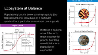 Keystone_Invasive Species For Stable and Unstable Ecosystems | PPT