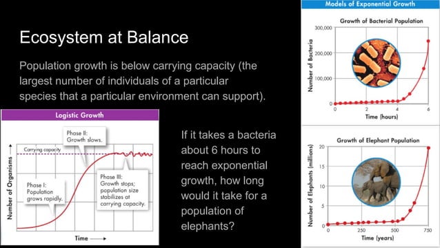 Keystone_Invasive Species For Stable and Unstable Ecosystems | PPT