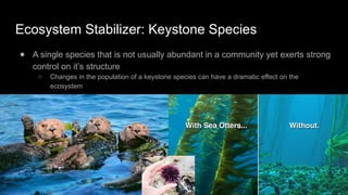 Keystone_Invasive Species For Stable and Unstable Ecosystems | PPT