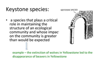 Keystone Species | PPT