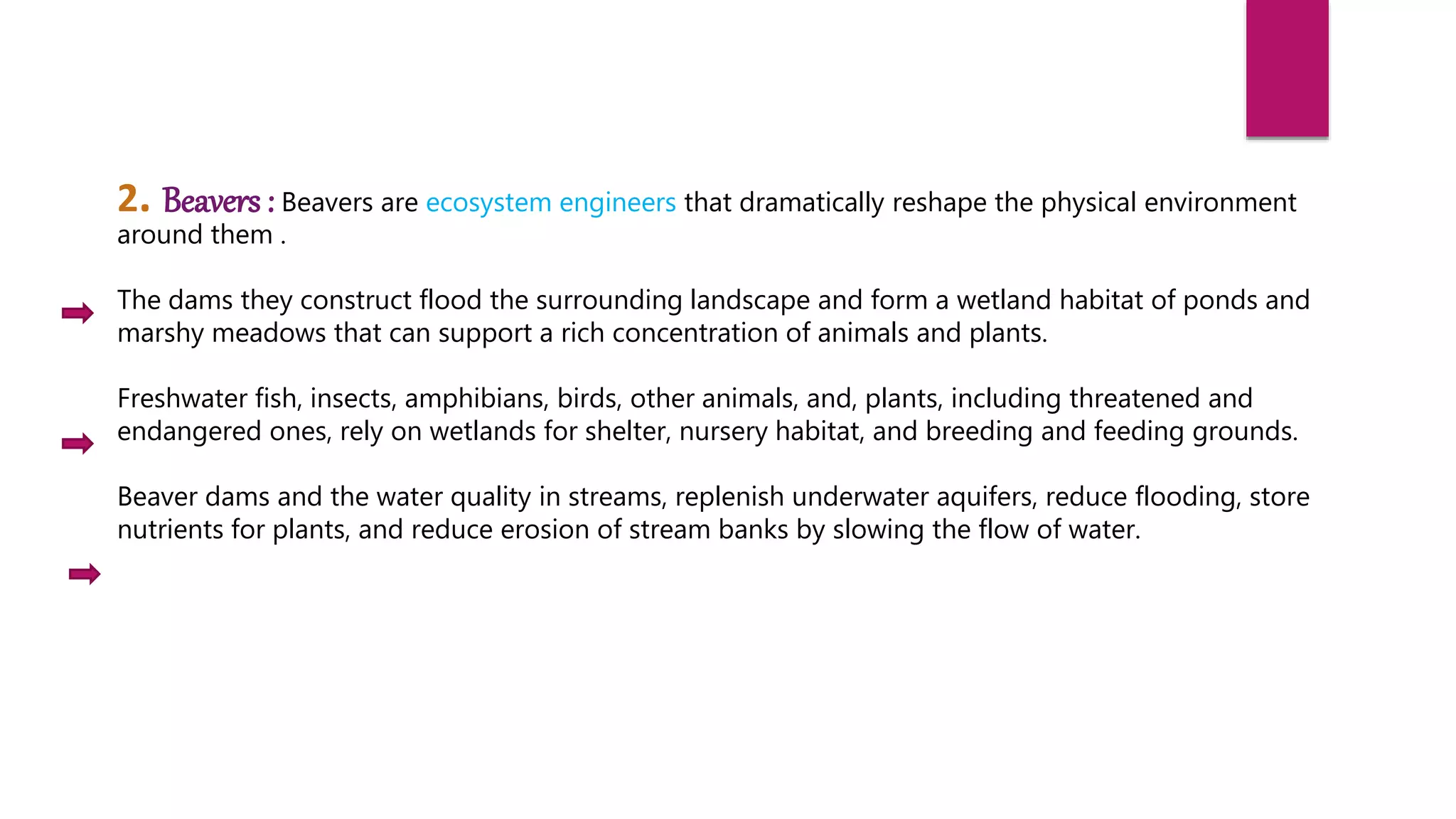 Keystone species | PPTX
