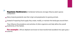 Keystone species | PPTX