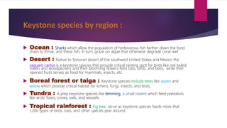 Keystone species | PPTX