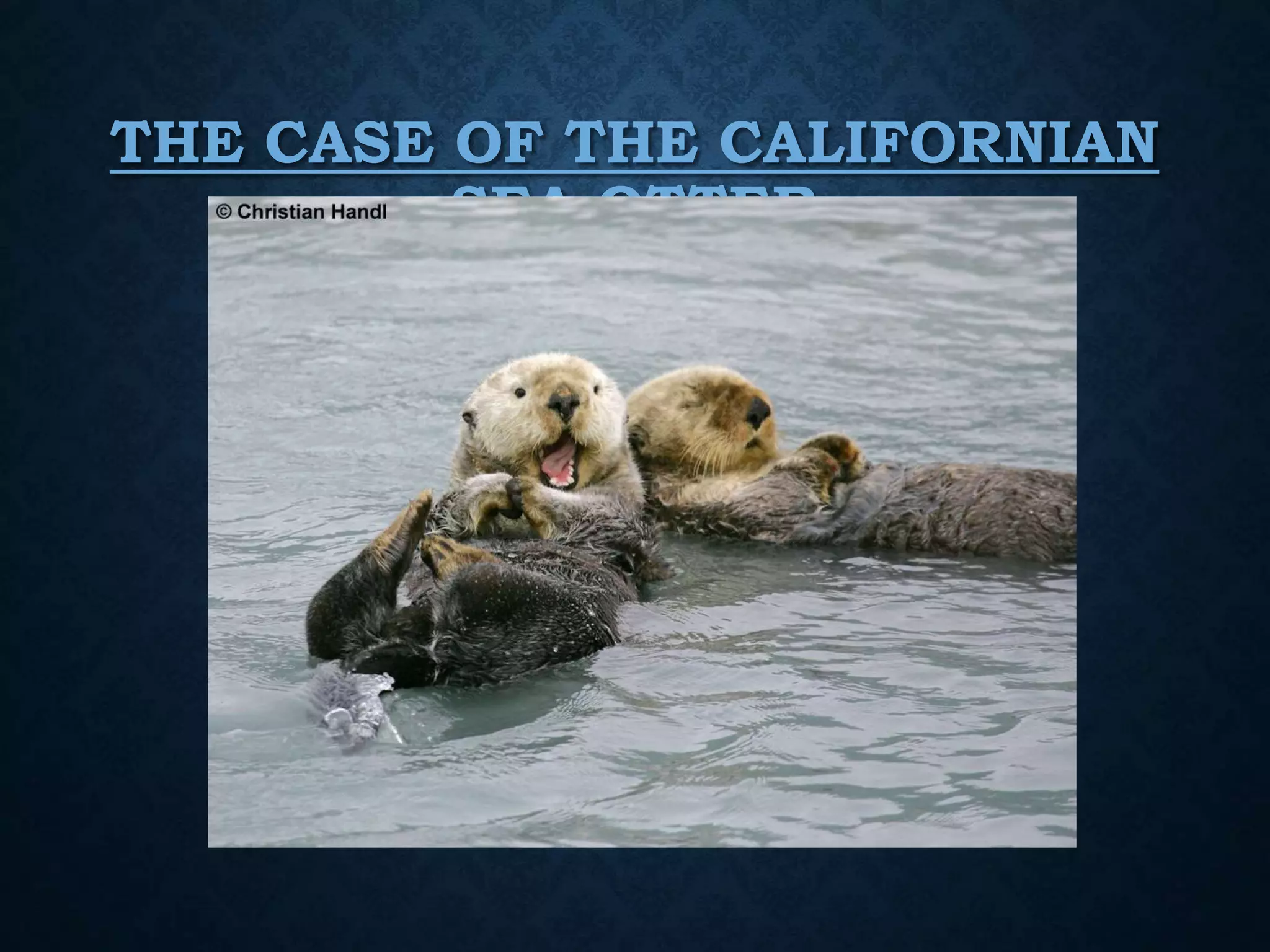 Keystone species ( Zoology) | PPT