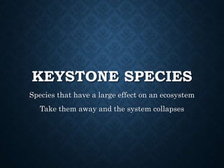 Keystone species ( Zoology) | PPT