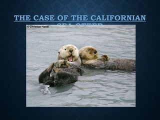 Keystone species ( Zoology) | PPT