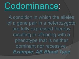 Key Terms TAS | PPTX