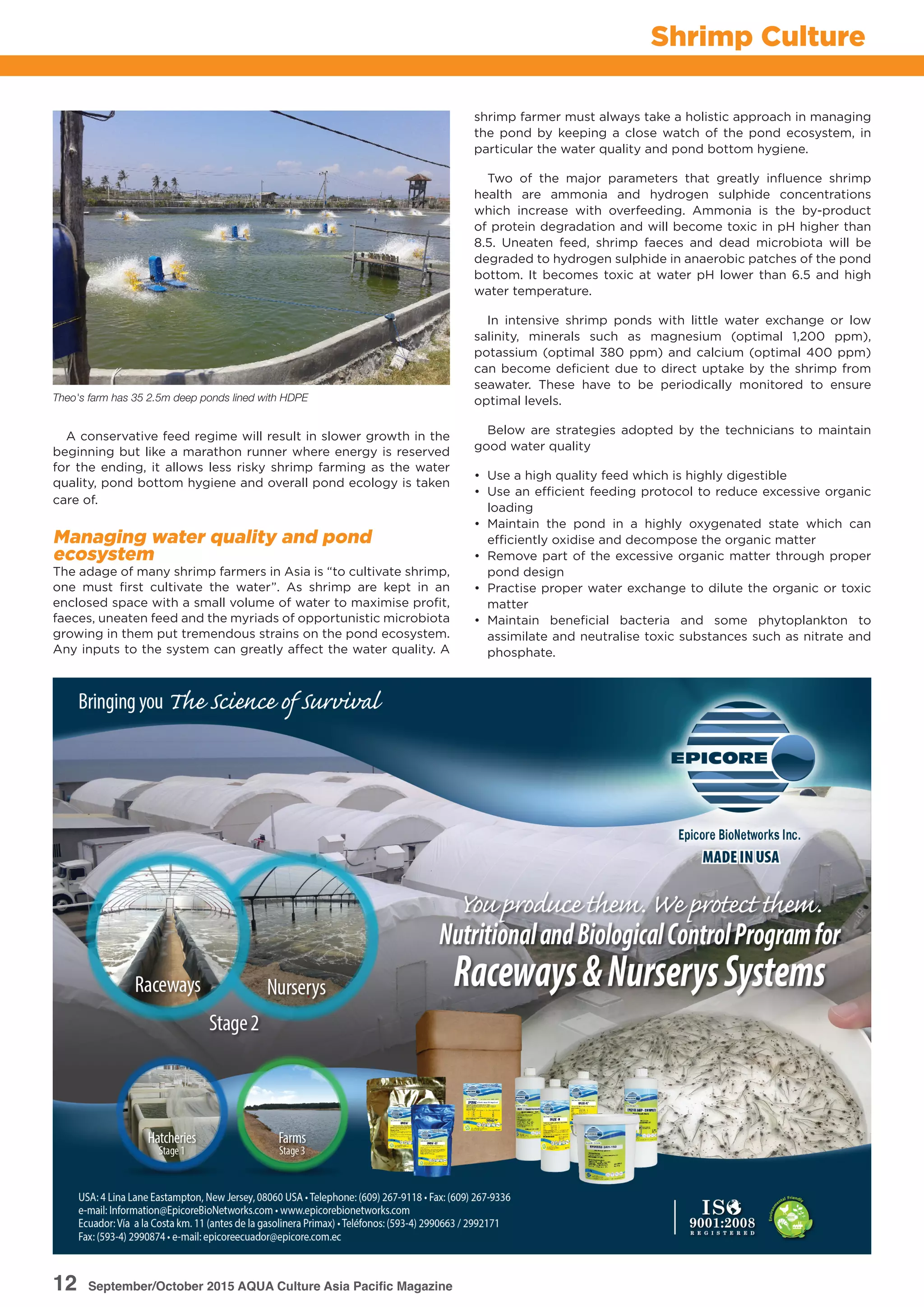 Success story of shrimp farming in indonesia | PDF