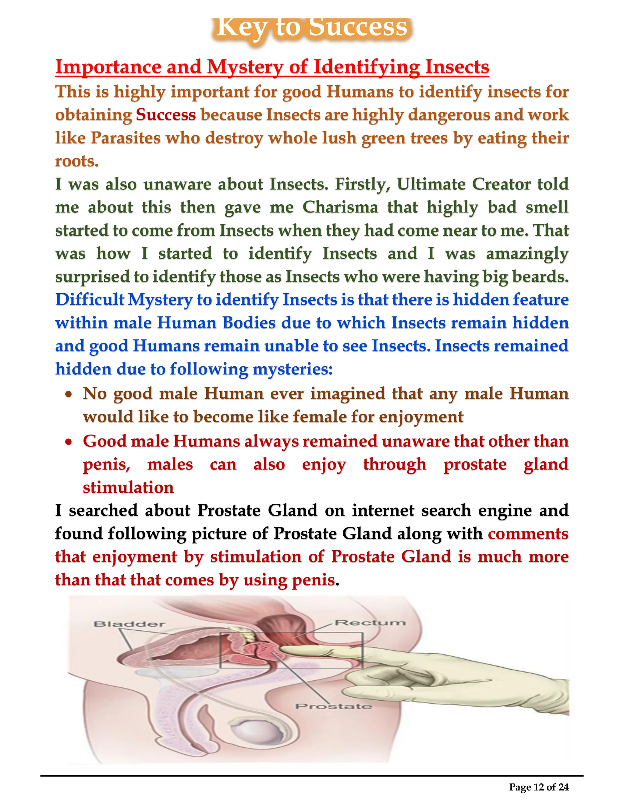 Key to Success - A Gift for Good Humans to Read | PDF