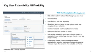 SAP S/4 Hana:Key User Extensibility Overview | PDF