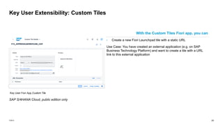 SAP S/4 Hana:Key User Extensibility Overview | PDF