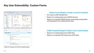 SAP S/4 Hana:Key User Extensibility Overview | PDF