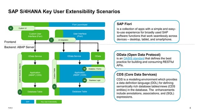 SAP S/4 Hana:Key User Extensibility Overview | PDF
