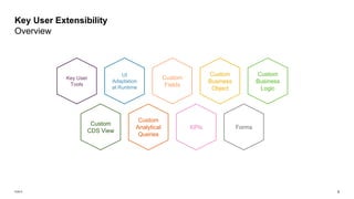 SAP S/4 Hana:Key User Extensibility Overview | PDF