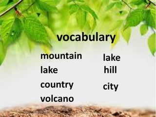 Key vocabulary | PDF