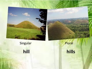 Key vocabulary | PPT