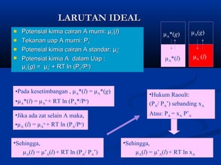 Kf2 2008 camp-sederhana-2009 | PPT