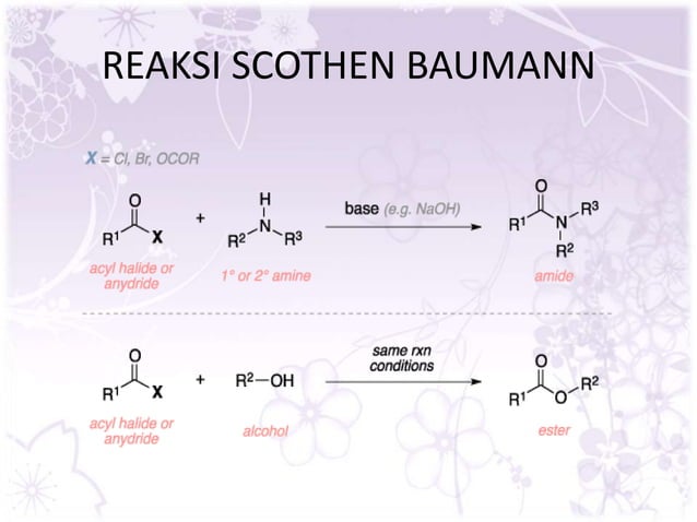 identifikasi alkohol,anhidrida, asil halida | PPTX