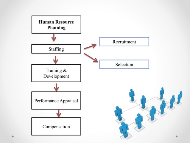 KFC of Pakistan Presentation | PPTX | Human Resources | Business