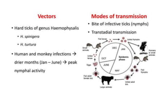 Kyasanaur Forest Disease also known as monkey fever | PPT