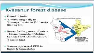Kyasanaur Forest Disease also known as monkey fever | PPT