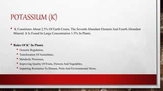 potassium fixation in different clay minerals | PPTX