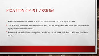potassium fixation in different clay minerals | PPTX