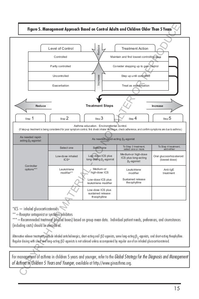 Gina pocket guide 2012