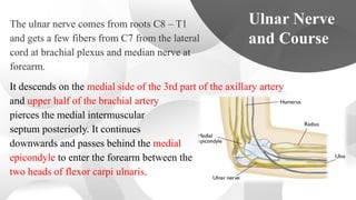 Ulnar Nerve Injuries and Management.pptx