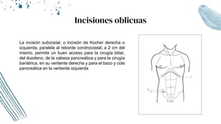 Incisiones quirúrgicas en cirugía .pptx