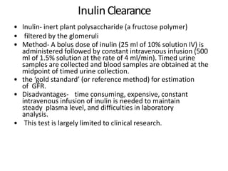 KIDNEY FUNCTION TEST | PPT